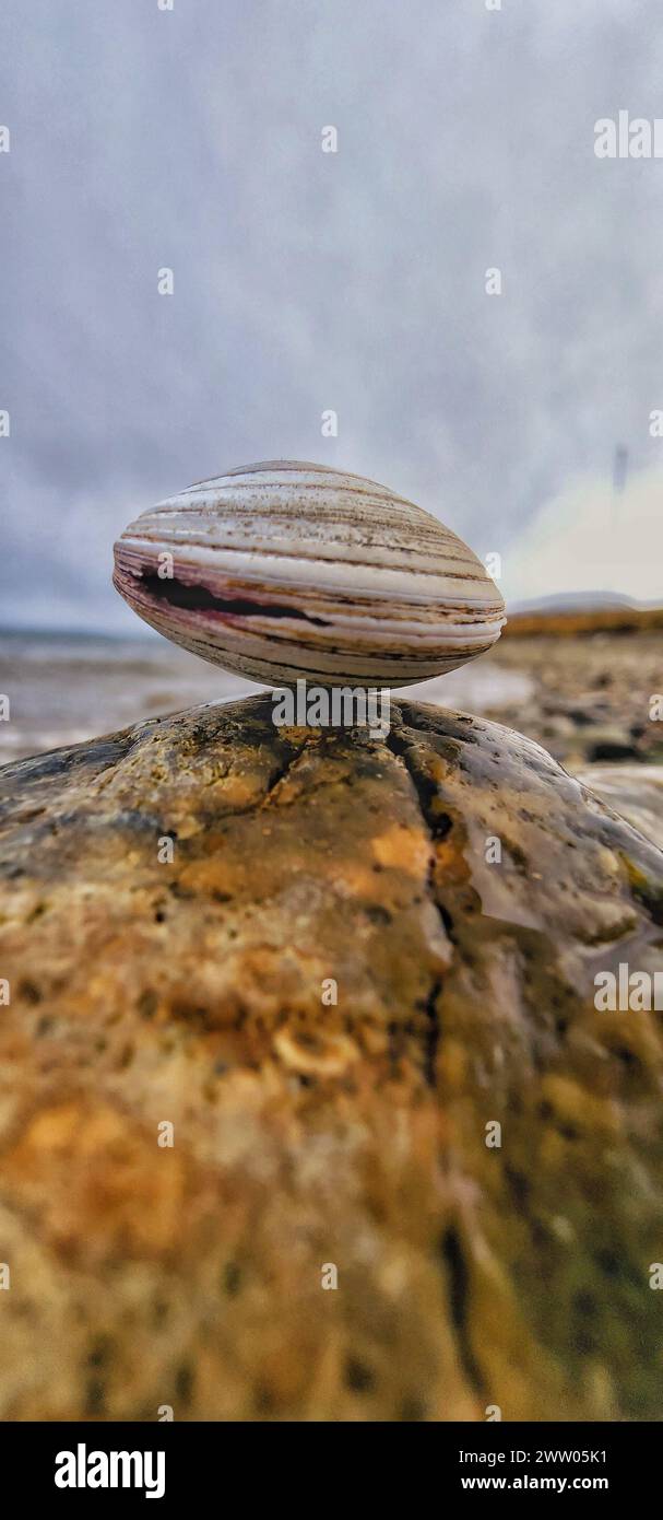 A balanced rock stack on coastal rocks near the sea Stock Photo - Alamy