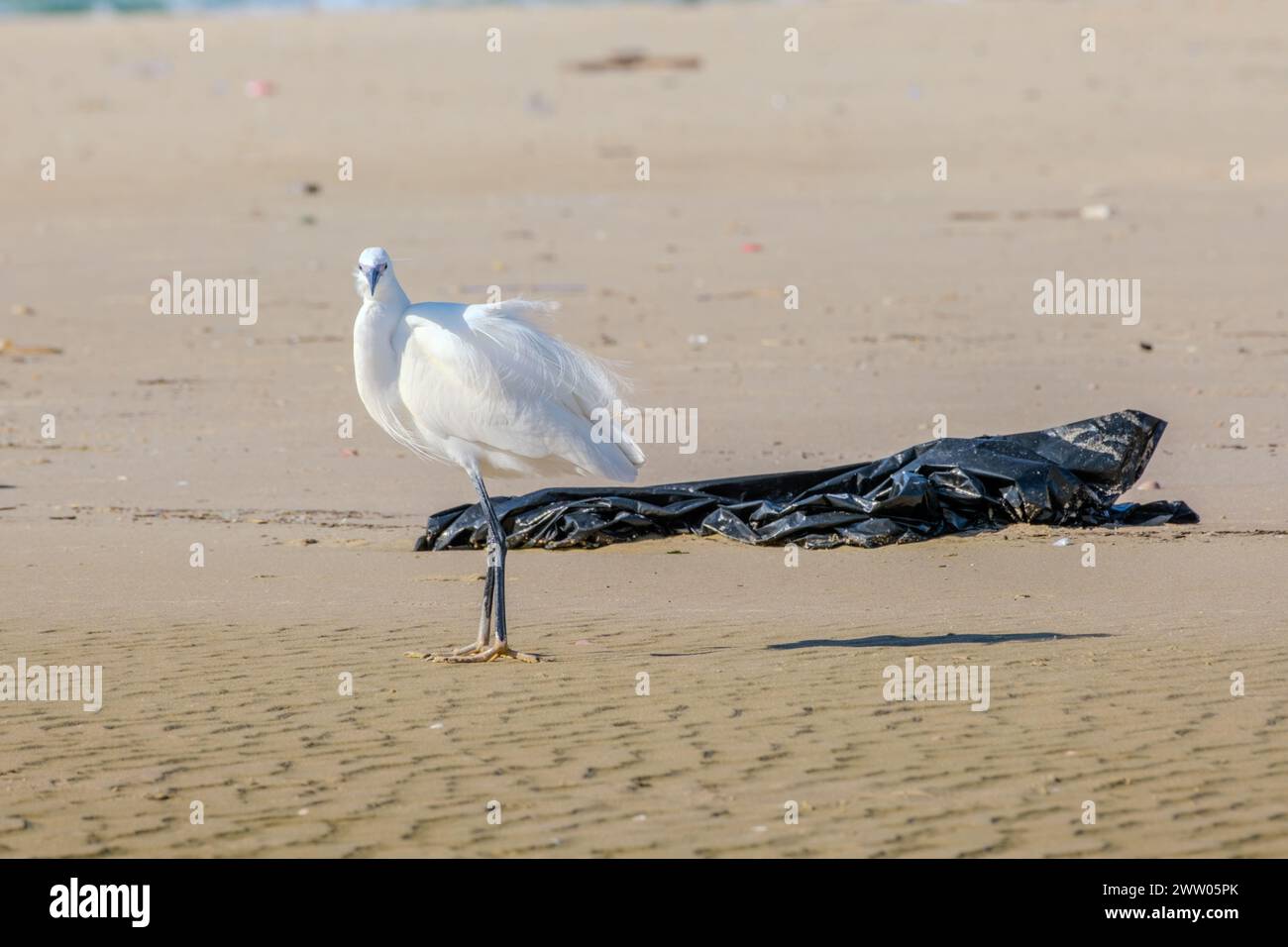 Lakhish river hi-res stock photography and images - Alamy