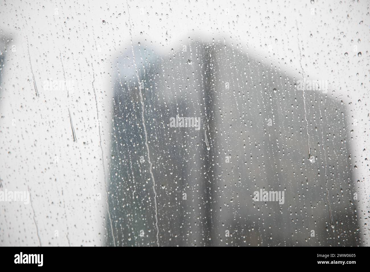 Amazon seattle interior hi-res stock photography and images - Alamy