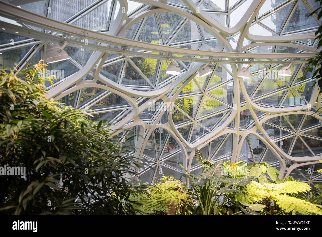 Amazon seattle interior hi-res stock photography and images - Alamy