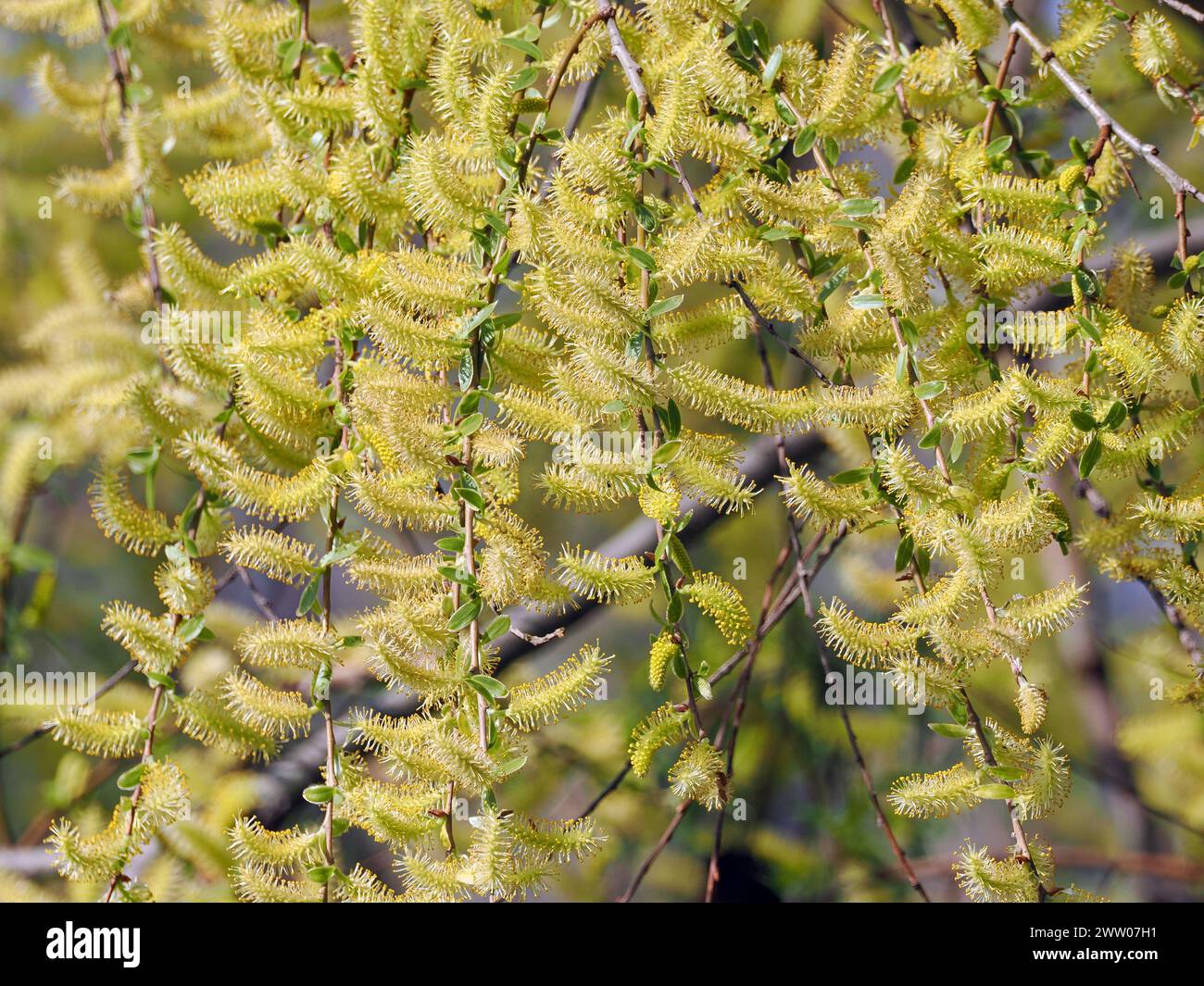 Lat 47 46241469 hi-res stock photography and images - Alamy