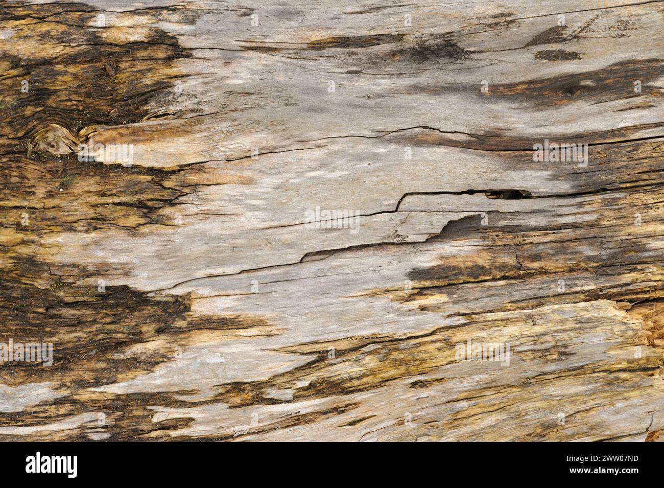 Close-up of weathered wood planks with natural patterns Stock Photo - Alamy