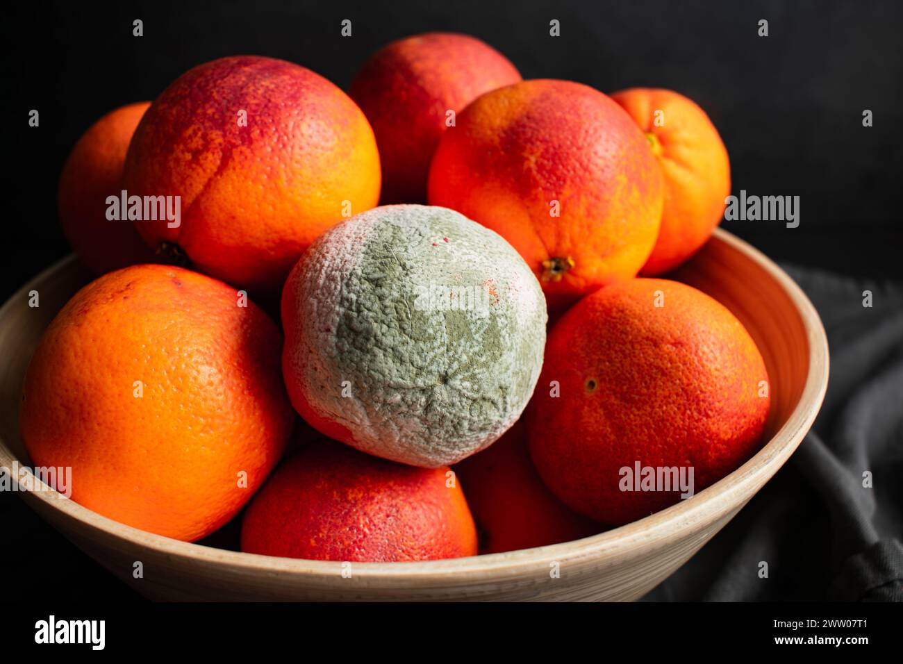 Moldy Blood Orange in a Bowl of Blood Oranges: Whole raspberry oranges ...