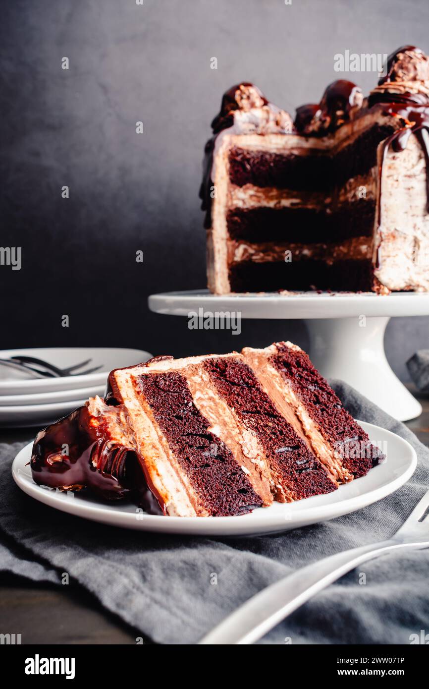 Slice of Hazelnut Chocolate Cake Topped with Chocolate Ganache and ...