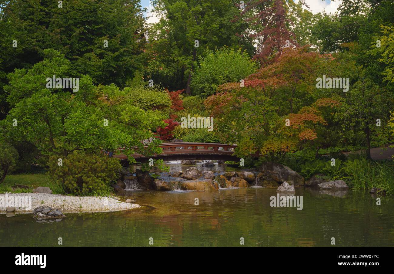Japanese park in Vienna on a summer day. Zetagaya Park is small, quiet ...