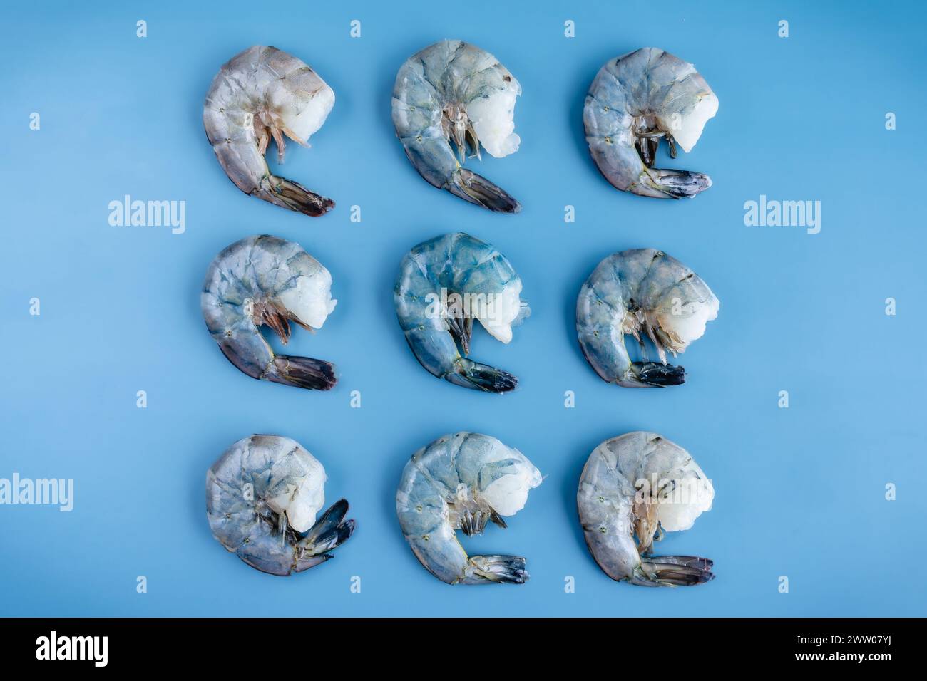 Raw Blue Colossal Shrimp on a Blue Background: Nine uncooked extra ...