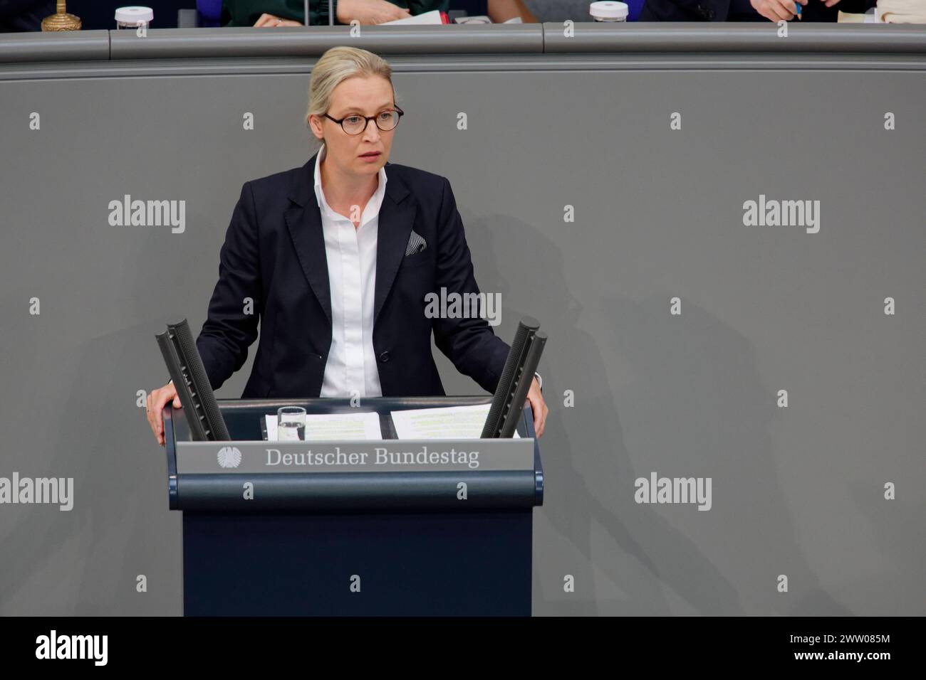 His speech afd hi-res stock photography and images - Alamy