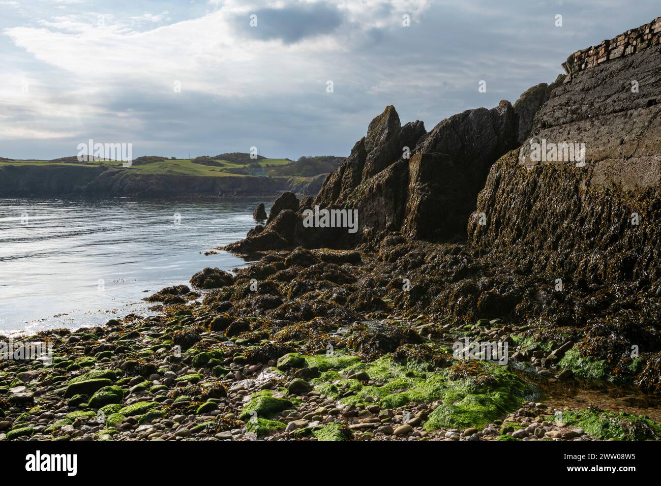 Porth wen beach hi-res stock photography and images - Alamy