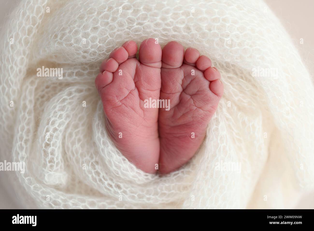 The tiny foot of a newborn baby. Soft feet of a new born in a wool ...