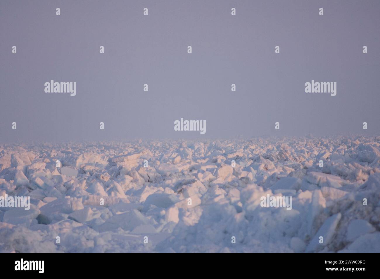 Seascape of rough pack ice over the Chukchi sea in springtime, off ...