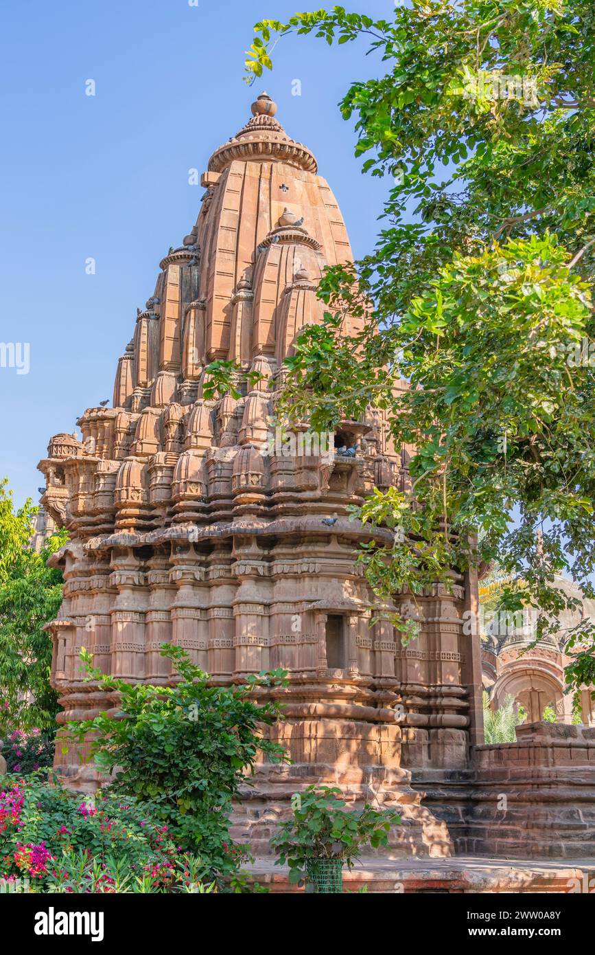 Temples of Mandore Garden. Mandore Garden with a tree at Jodhpur ...