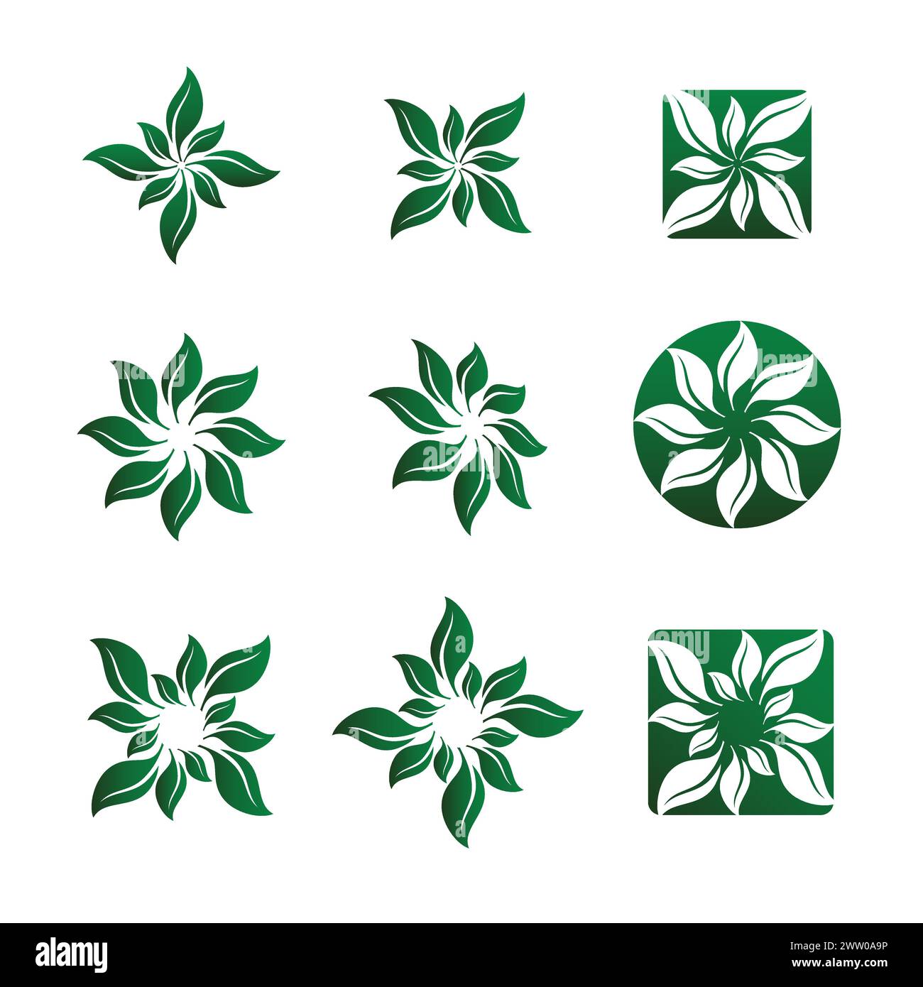 Nine Verious Leaf and Flower Vector Illustrations Stock Vector Image ...