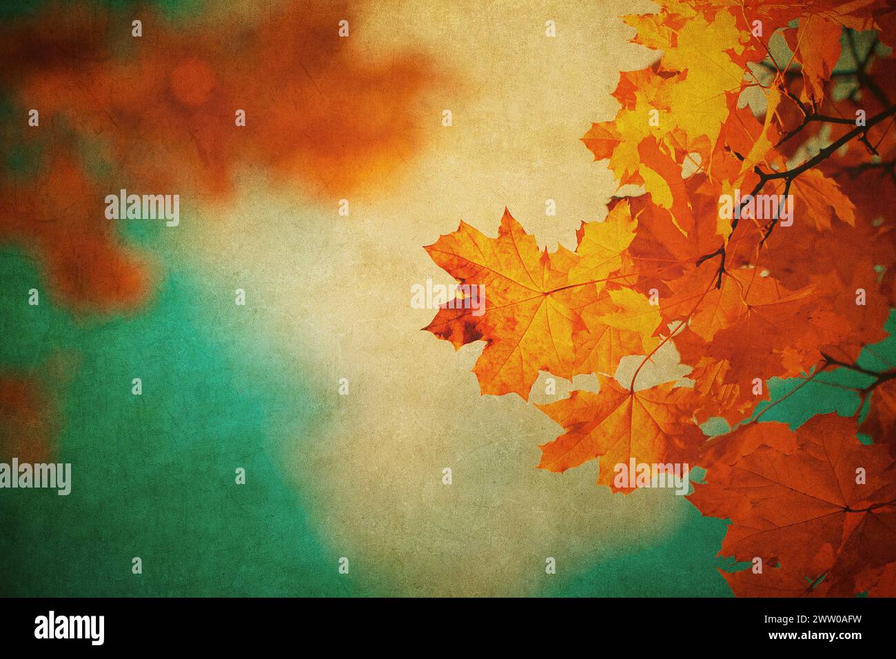 Old border paper leaves hi-res stock photography and images - Alamy
