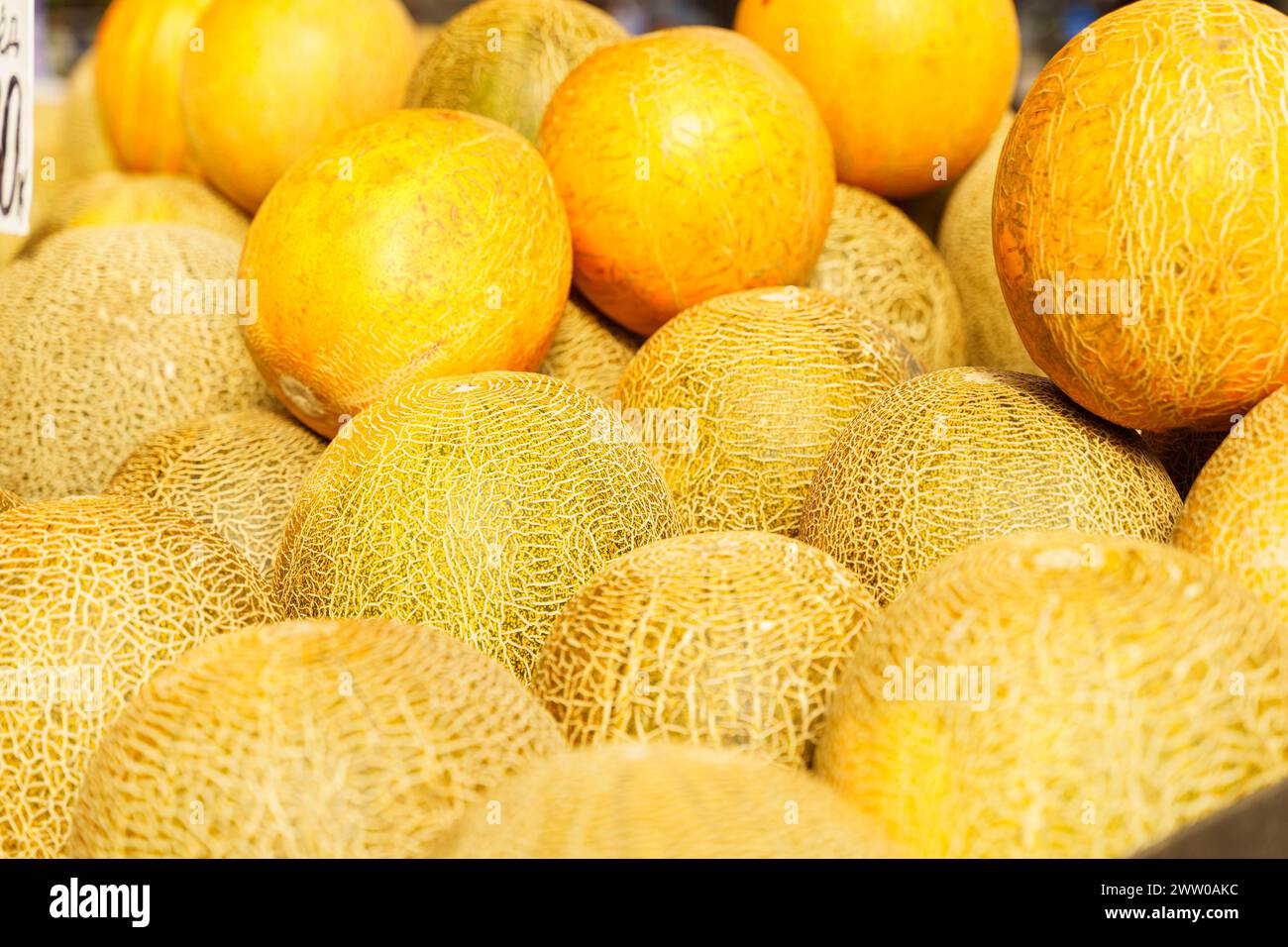 A selection of ripe melons with textured rinds showcased for sale ...
