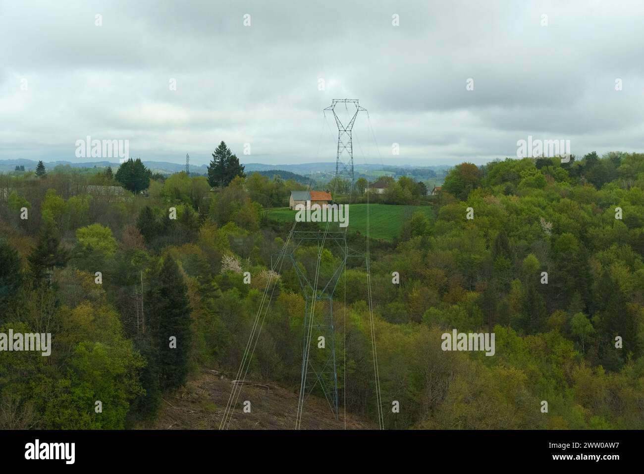 A high-voltage power line passing through a forest plantation Stock ...