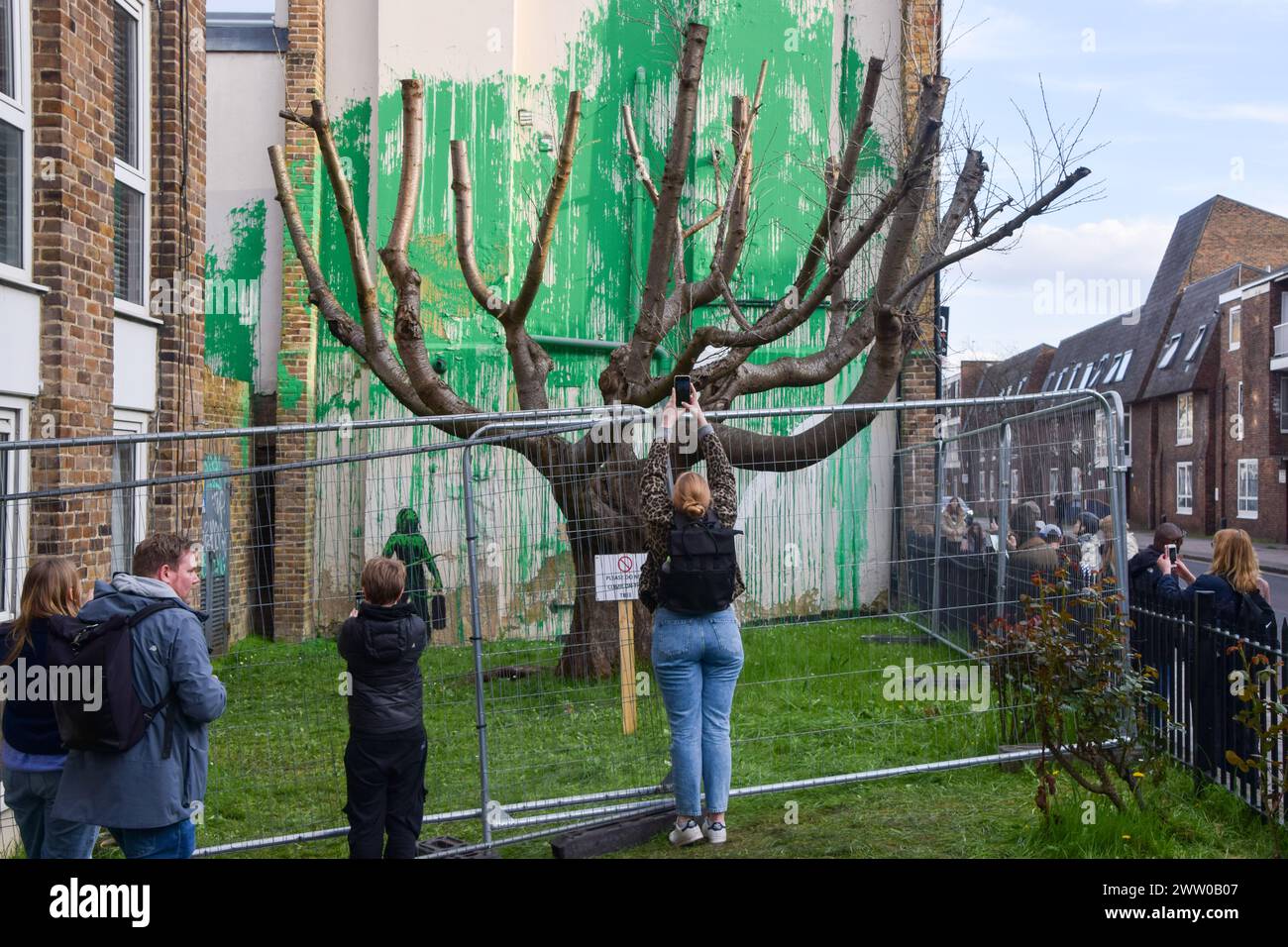 London, England, UK. 20th Mar, 2024. Crowds gather to take photos. The ...