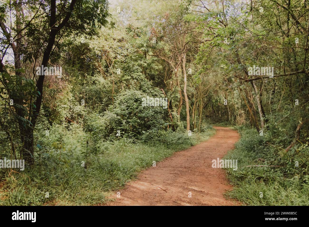 Rural trail hi-res stock photography and images - Alamy