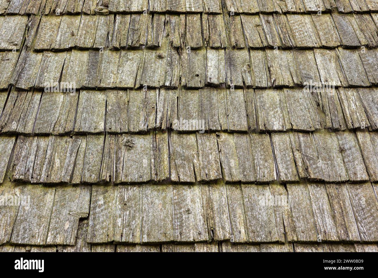 Weathered wooden shingles on a roof. Wooden roof tile of old house ...