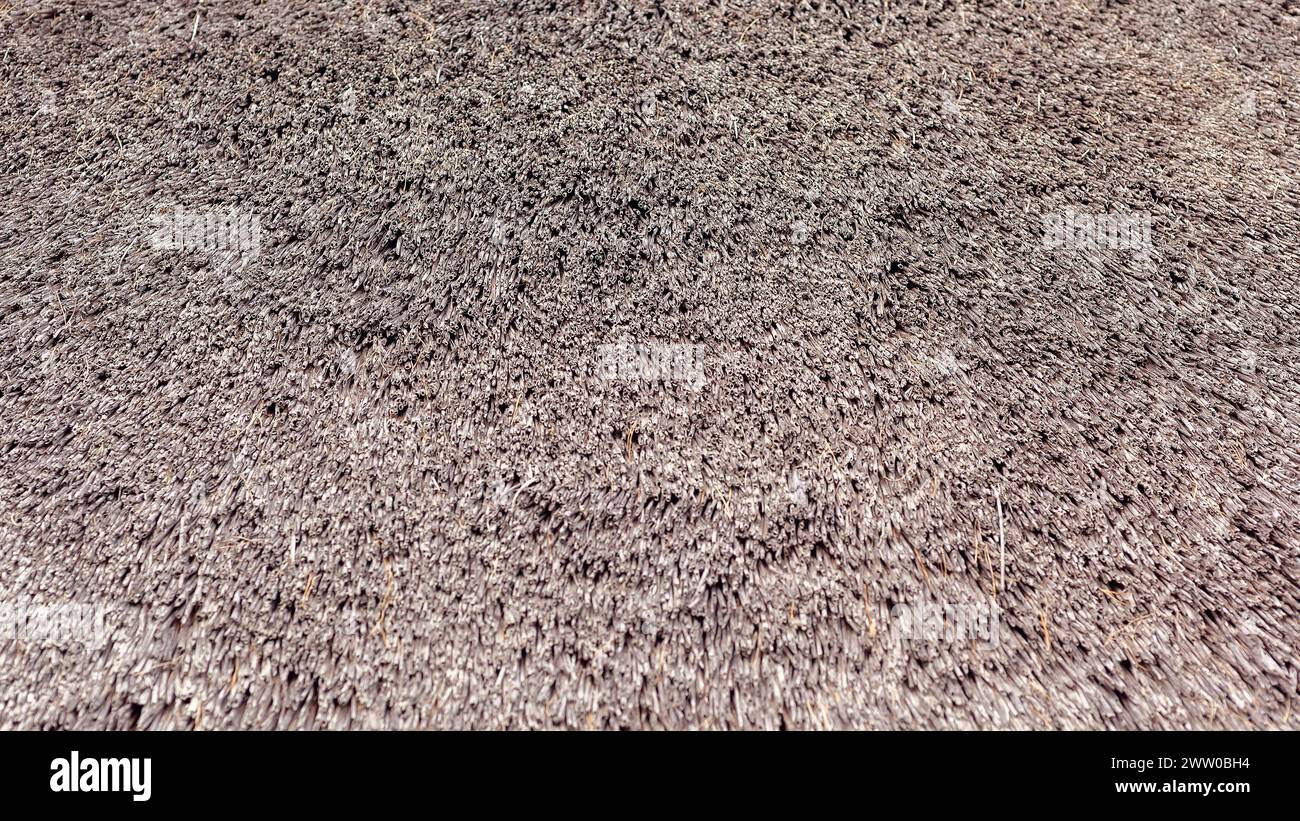 Reed roof texture hi-res stock photography and images - Alamy
