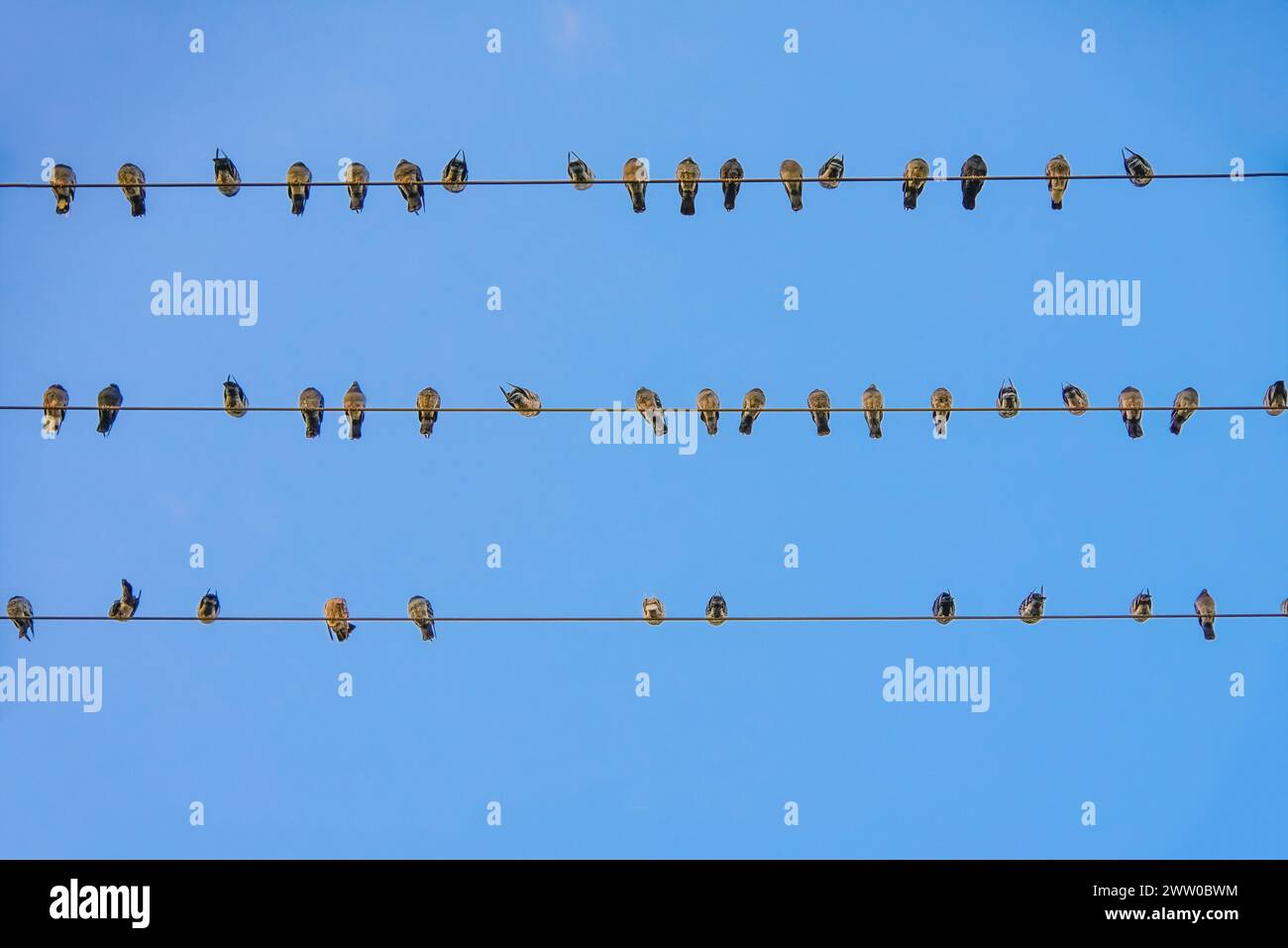 Parallel power hi-res stock photography and images - Alamy