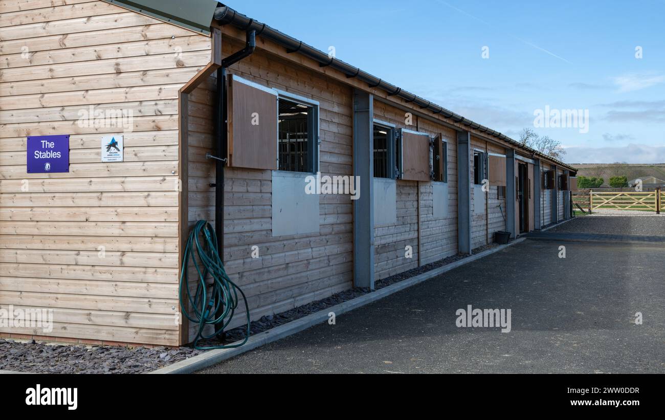 Rda horse hi-res stock photography and images - Alamy