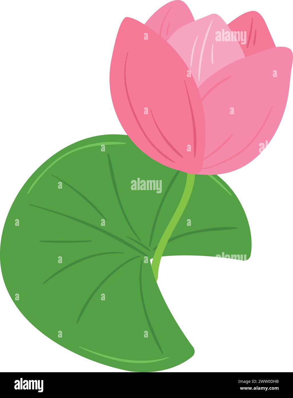 Water lily colors Stock Vector Images - Alamy