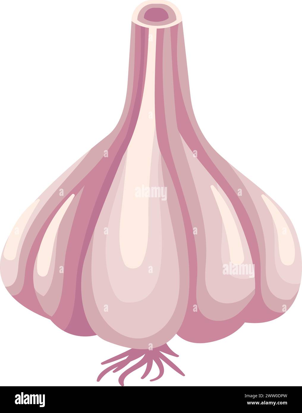 Garlic bulb cartoon icon. Fresh raw vegetable Stock Vector Image & Art ...