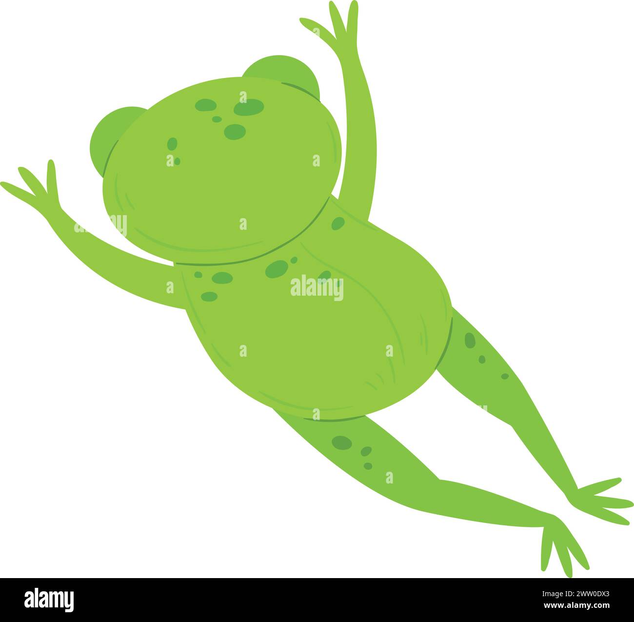 Swimming frog top view. Cute animal back Stock Vector Image & Art - Alamy