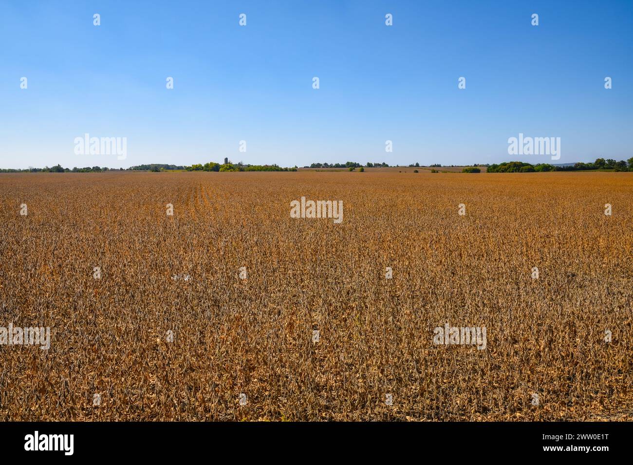 Daylight farms hi-res stock photography and images - Alamy