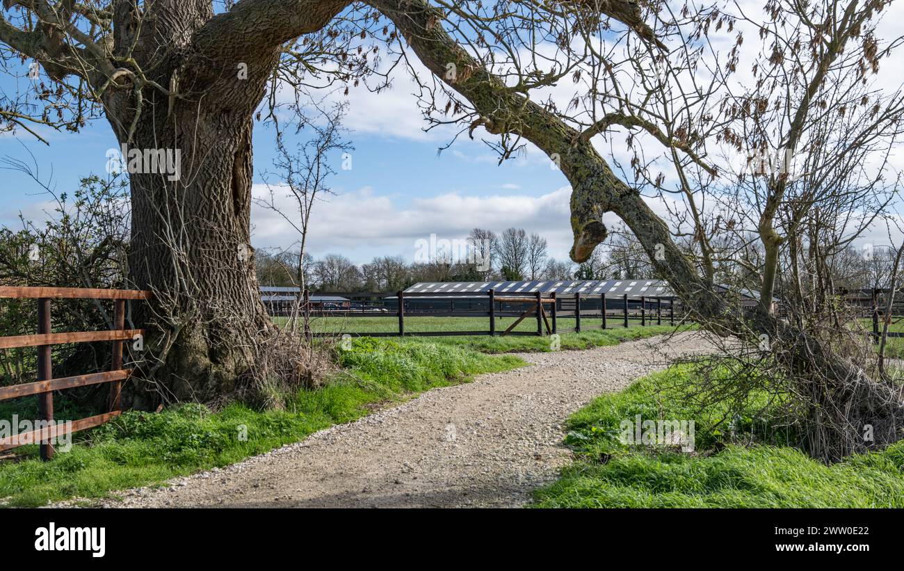 Belvoir Vale RDA Centre (Riding For The Disabled Association) - Colston ...