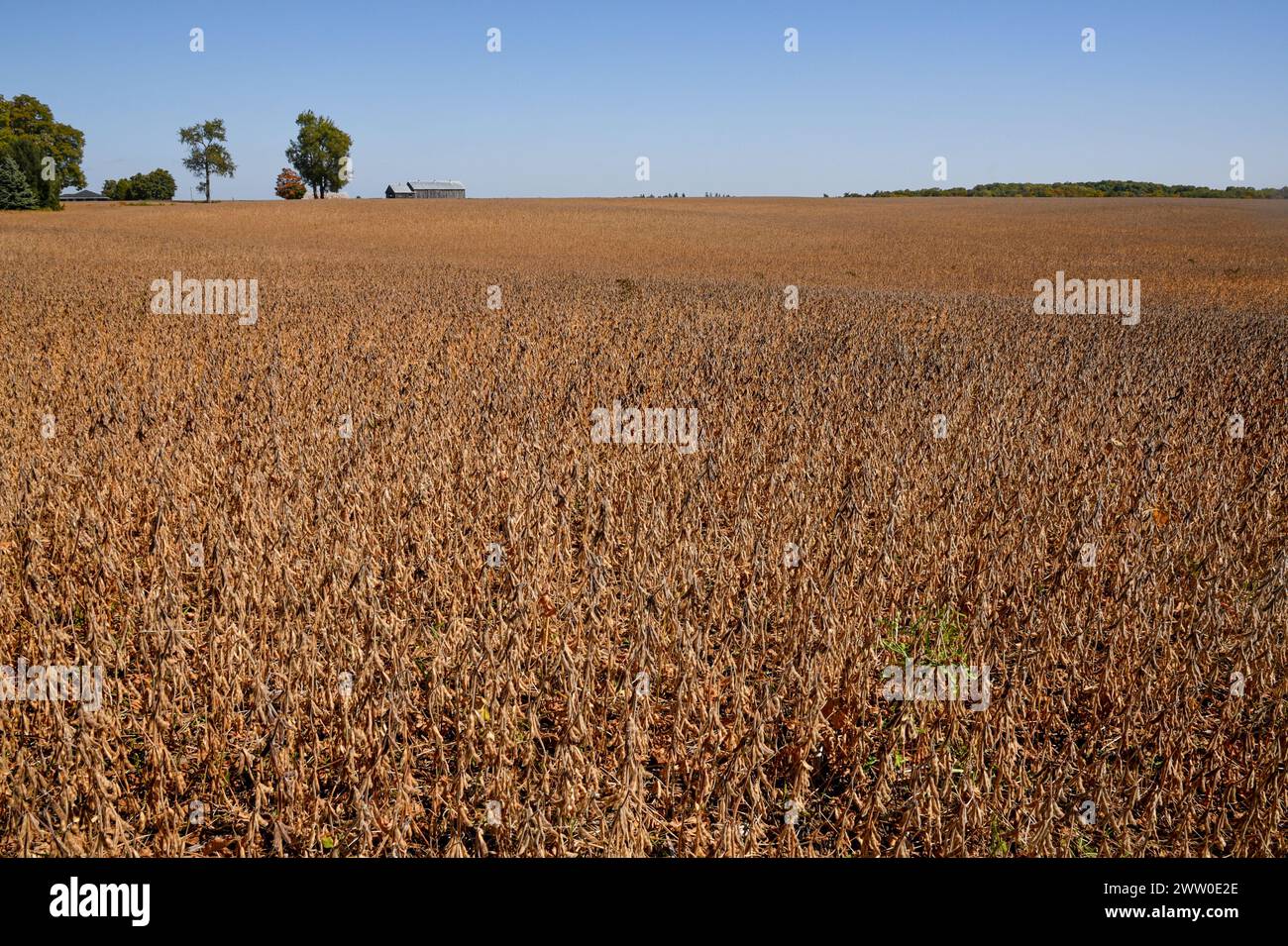 Daylight farms hi-res stock photography and images - Alamy