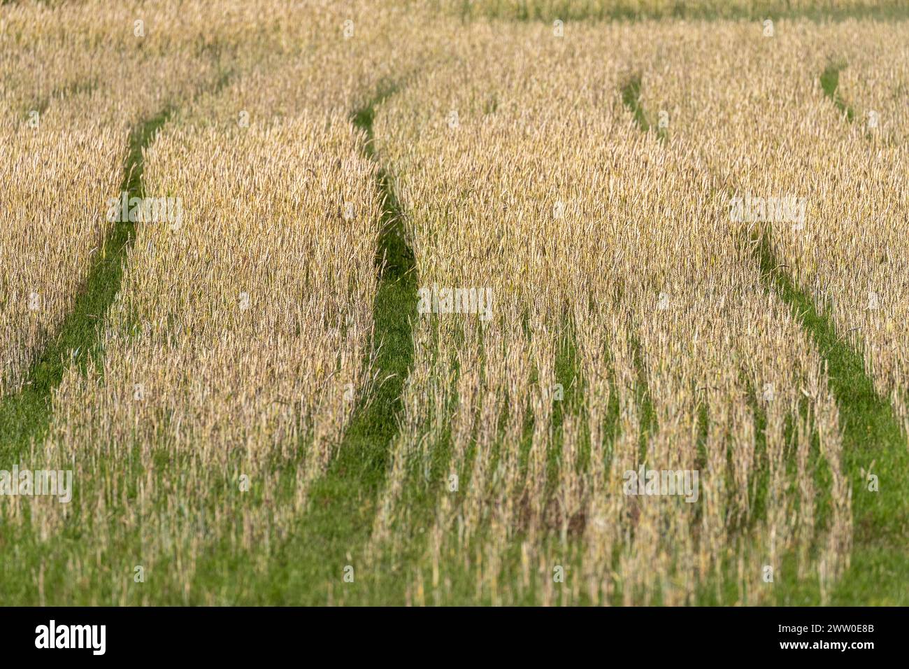 Stub track hi-res stock photography and images - Alamy