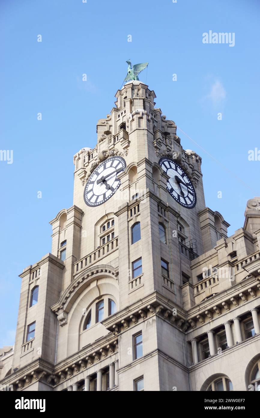 Liverpool city centre views of the Liver Building, Liver Birds, and the ...