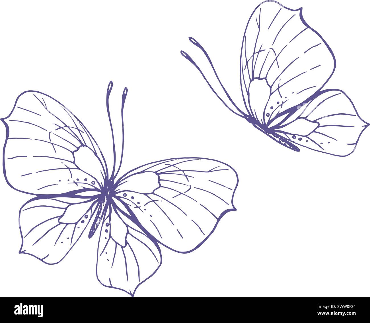 Delicate butterflies with patterns on the wings, simple, sweet, light ...