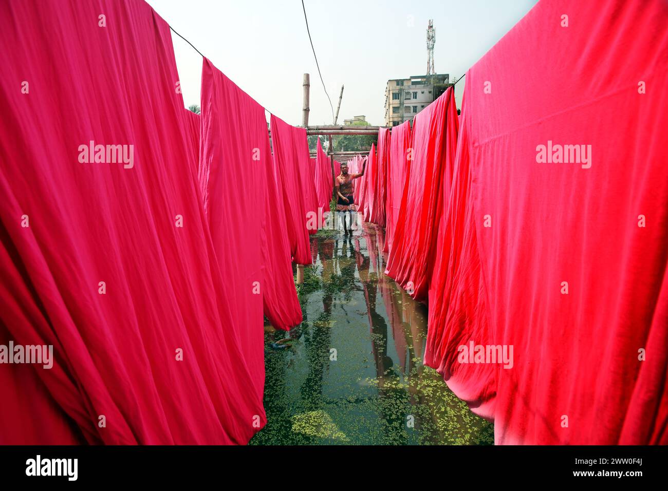 Bangladeshi workers collect fabric after drying them under the sun at a ...