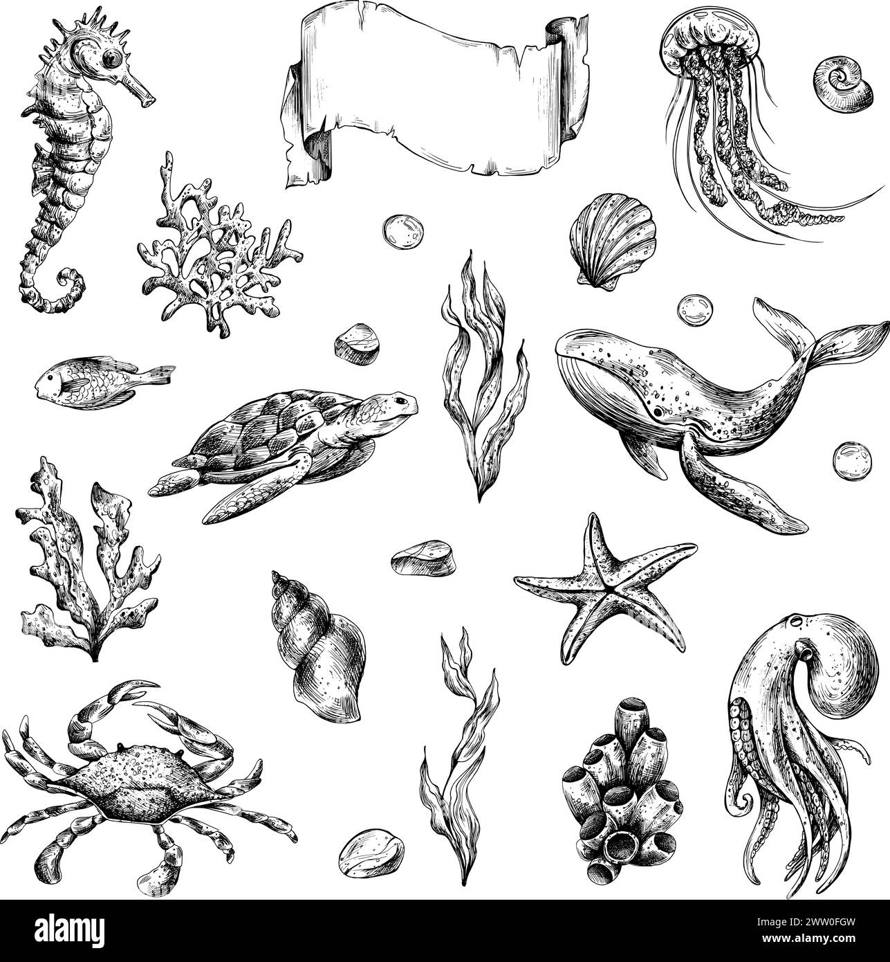 Underwater world clipart with sea animals whale, turtle, octopus ...