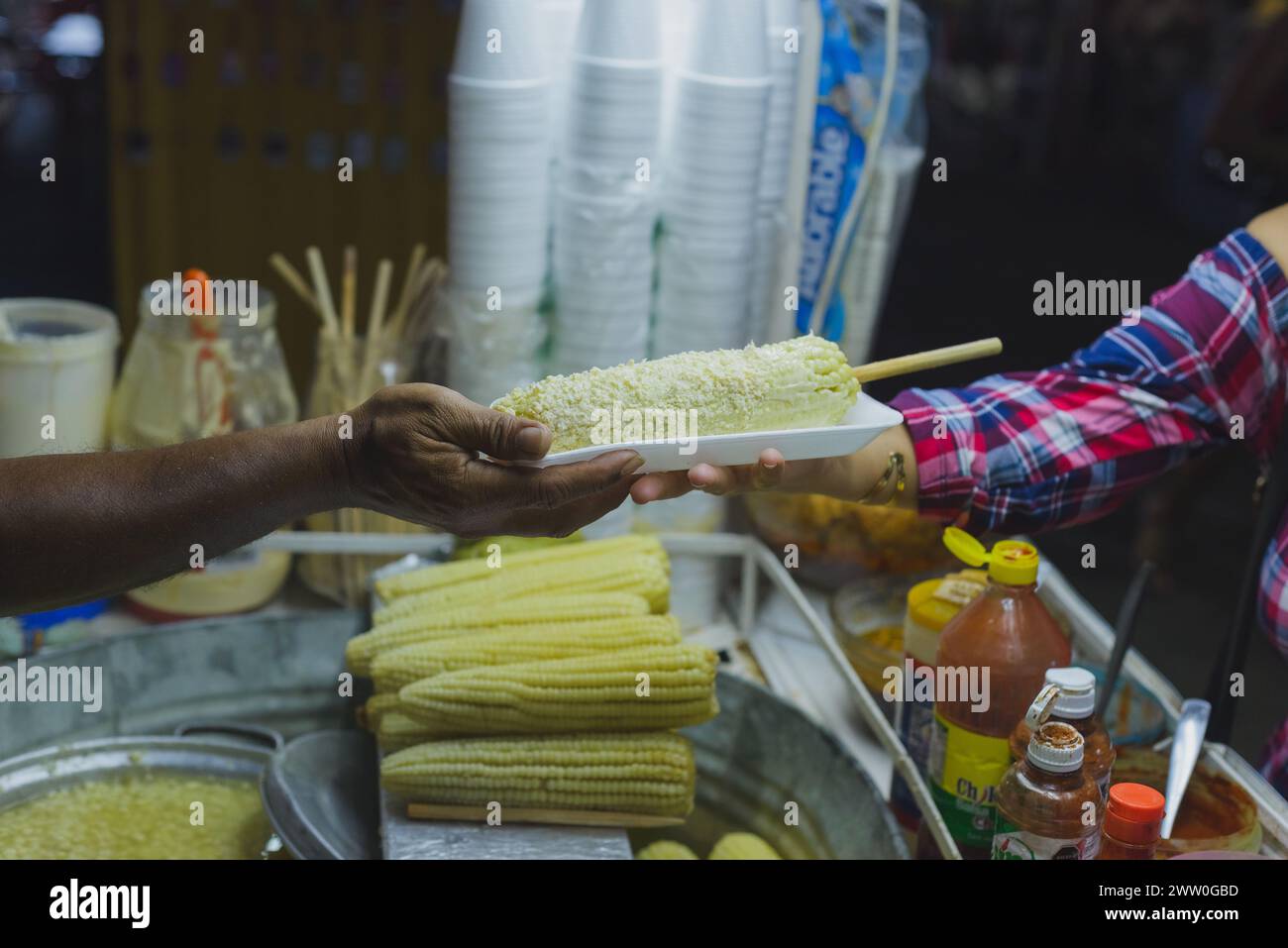 Boiled corn stand, typical Mexican street food. Food stall Stock Photo ...