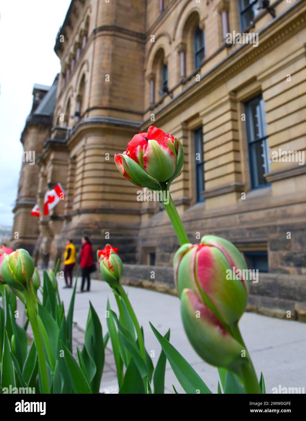 Downtown ottawa street hi-res stock photography and images - Alamy