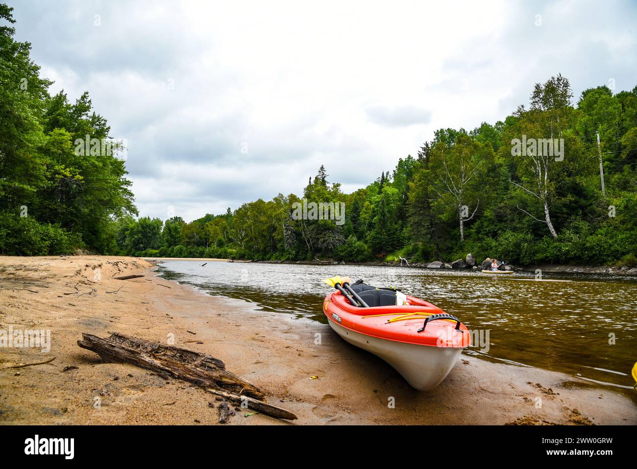 River shore trees hi-res stock photography and images - Alamy