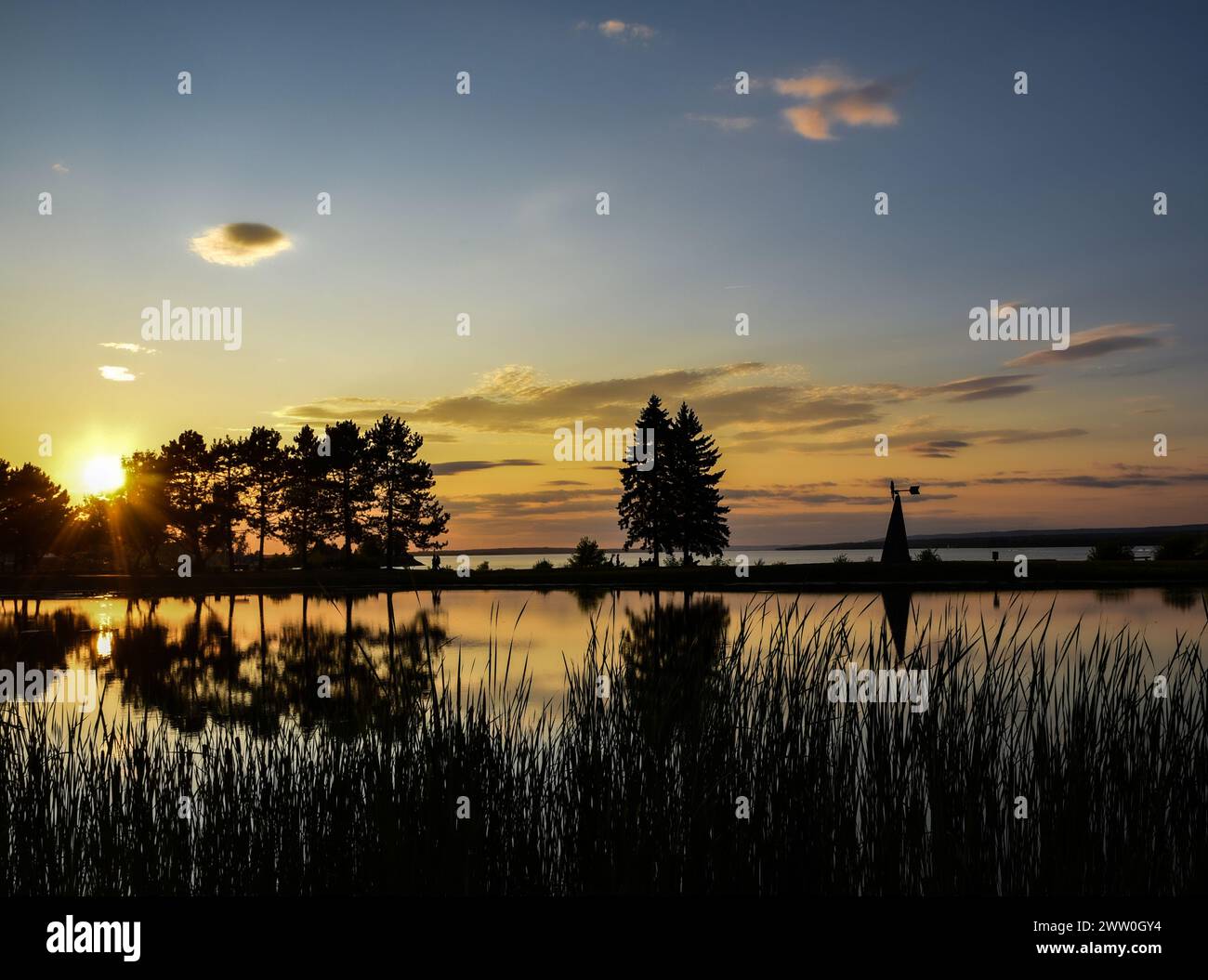 Andrew haydon park hi-res stock photography and images - Alamy