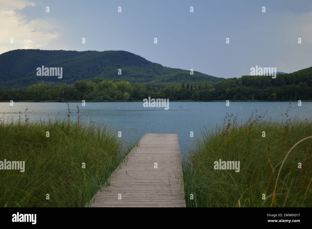 Puente y bosques hi-res stock photography and images - Alamy