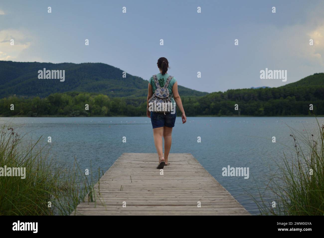 Diferentes arboles hi-res stock photography and images - Alamy