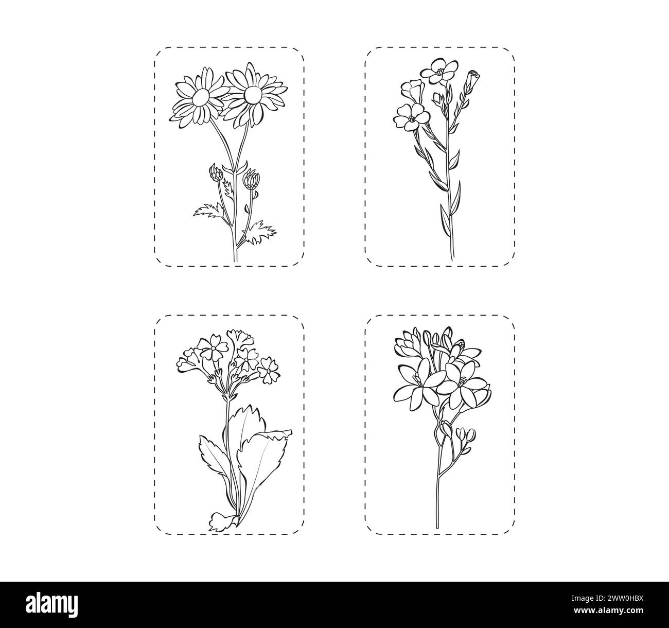 Set of 6 flowers vector illustration. Botanical flowers outline with ...