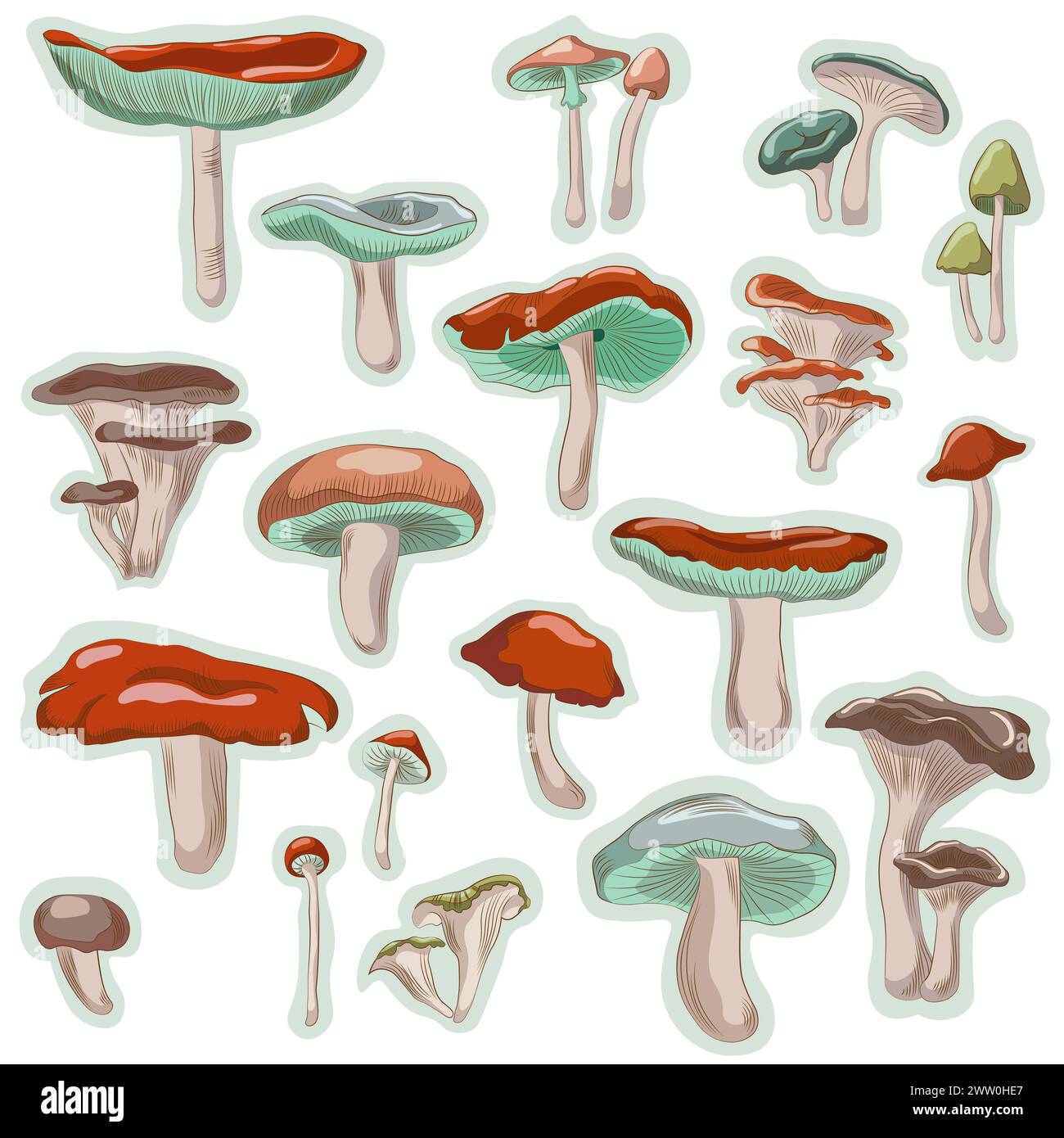 Hand drawn colorful edible mushrooms vector illustration collection ...