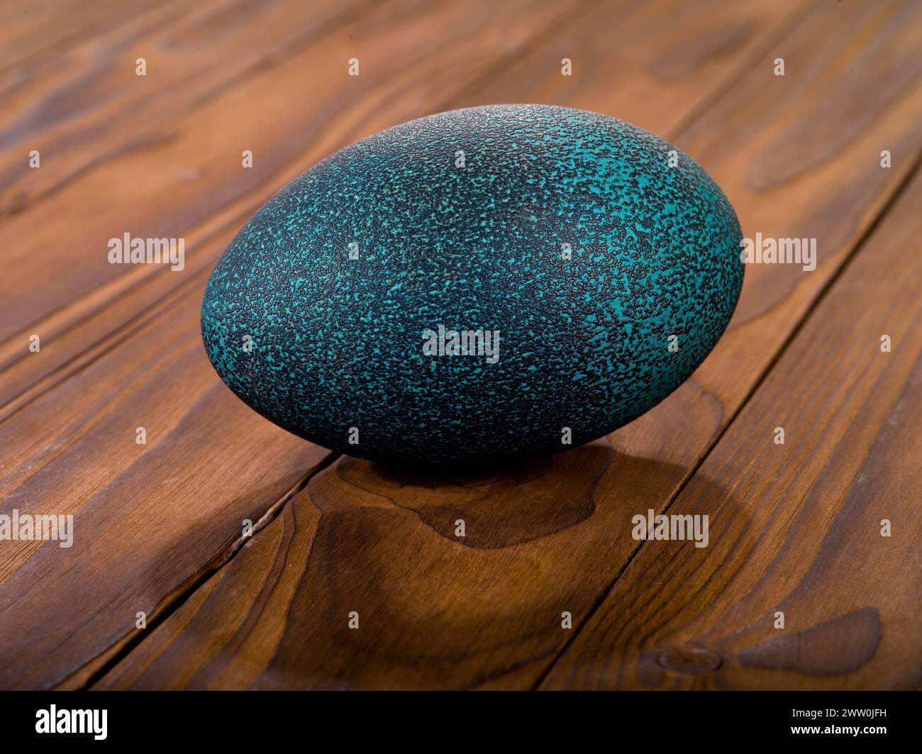 Emu ellipse hi-res stock photography and images - Alamy
