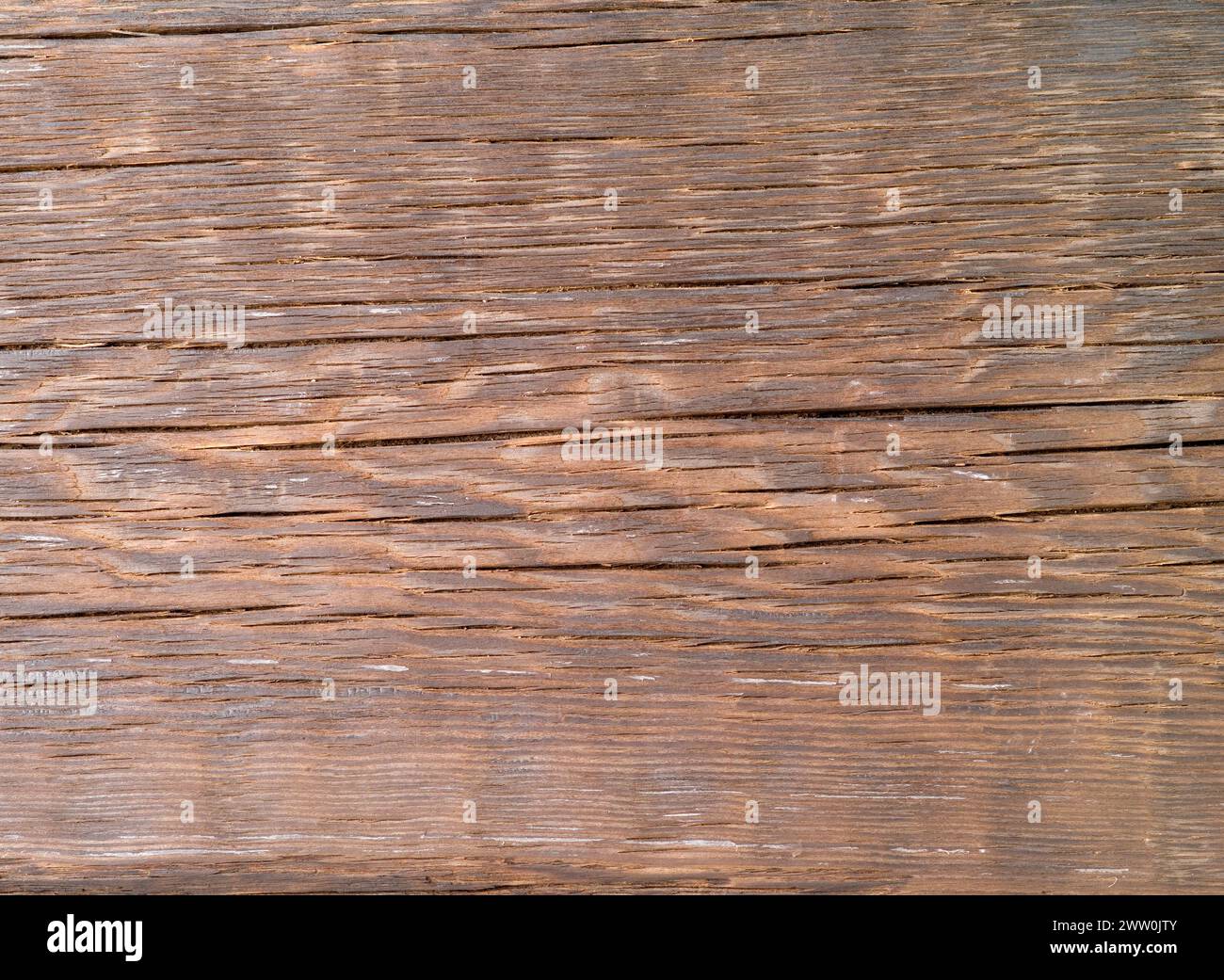 brown old texture of a tree Stock Photo - Alamy
