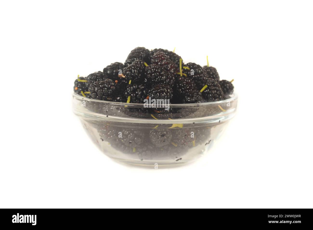 Fresh mulberry fruits on Cut Out Stock Images & Pictures - Alamy