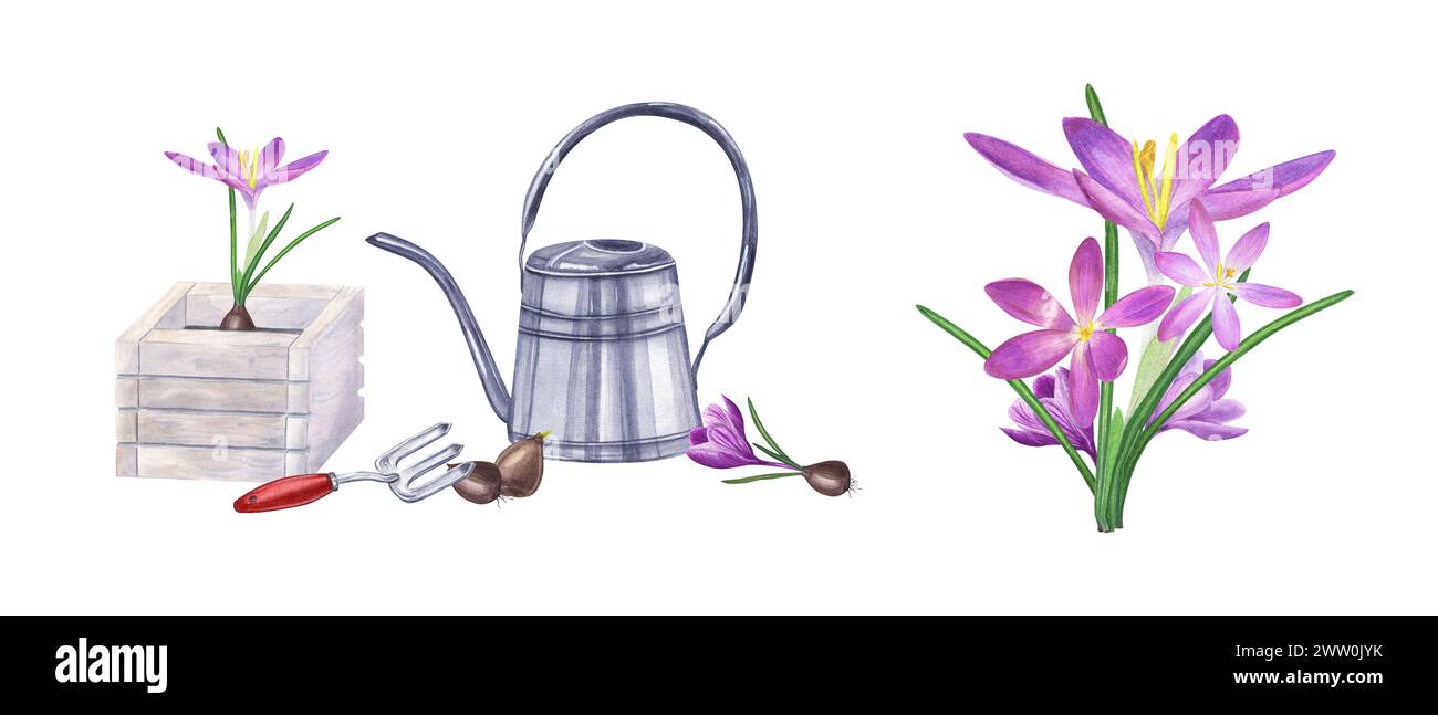 Spring Bulb Planting Clip Art