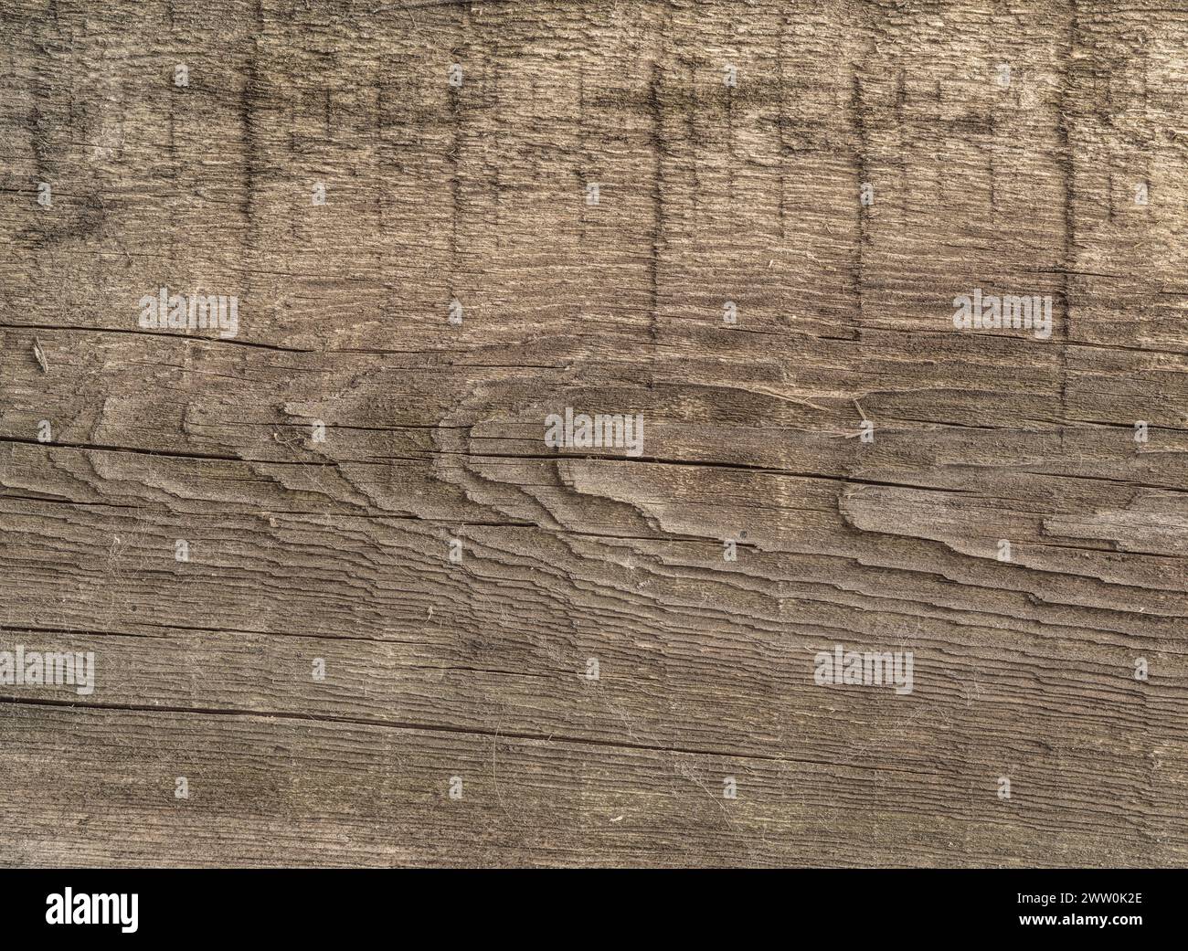 brown old texture of a tree Stock Photo - Alamy