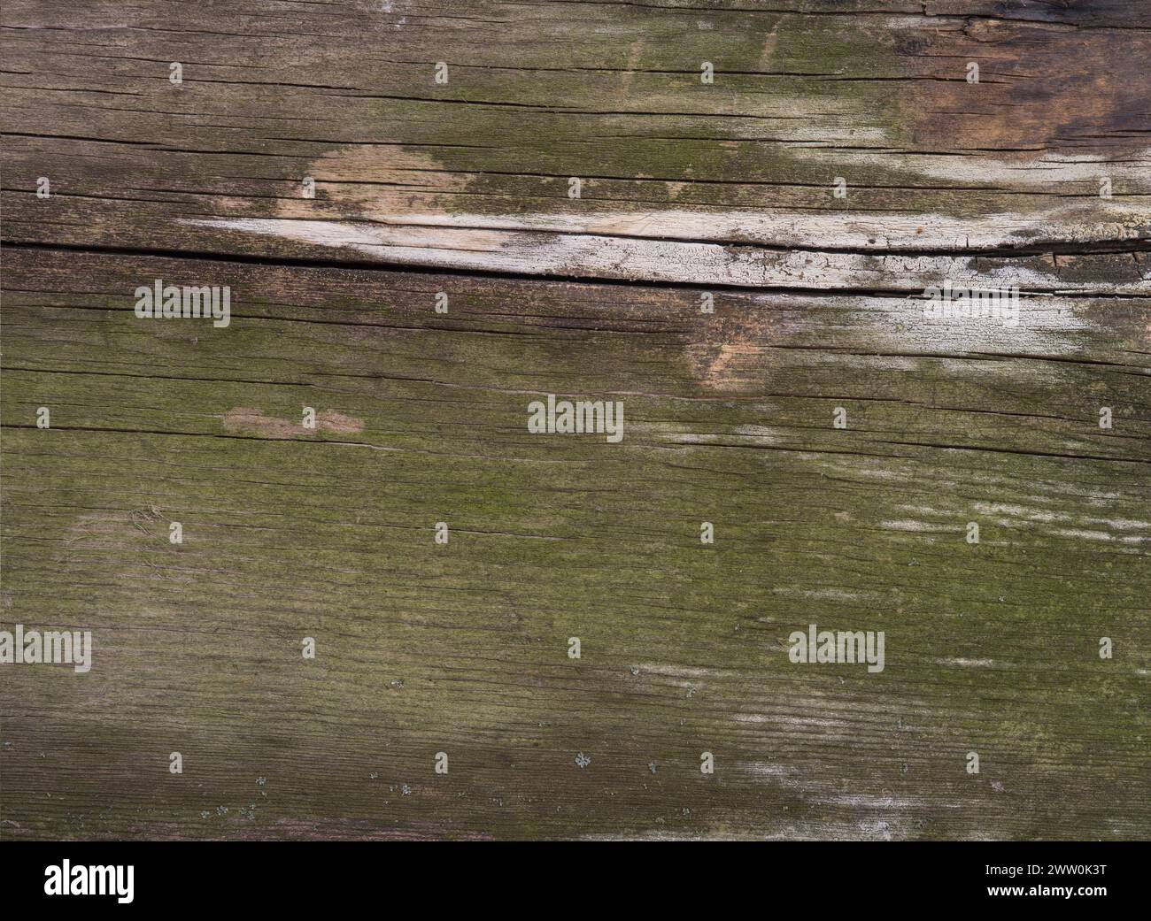 brown old texture of a tree Stock Photo - Alamy